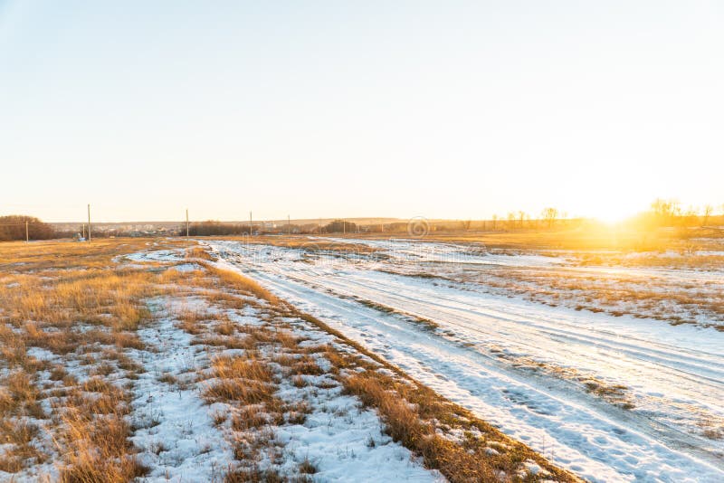 Yellow Withered Grass in the Setting Sun Under the First Snow Stock ...