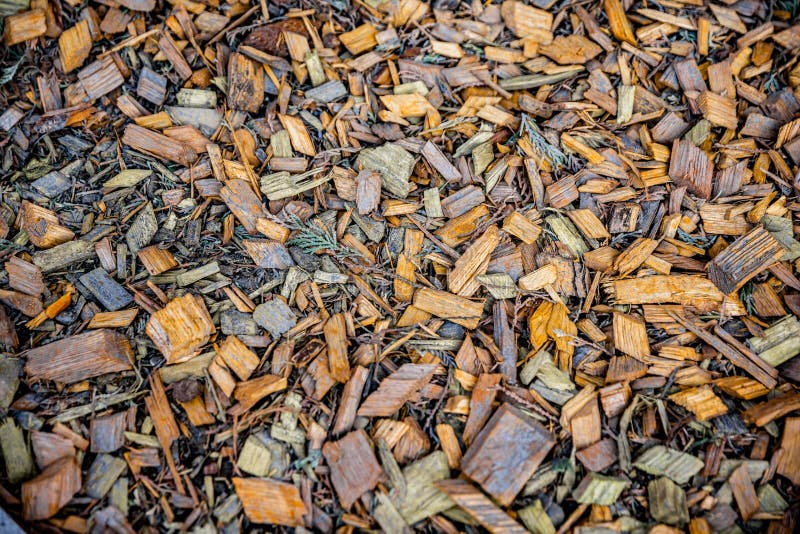 Red slivers stock image. Image of wooden, chips, garden - 129905623