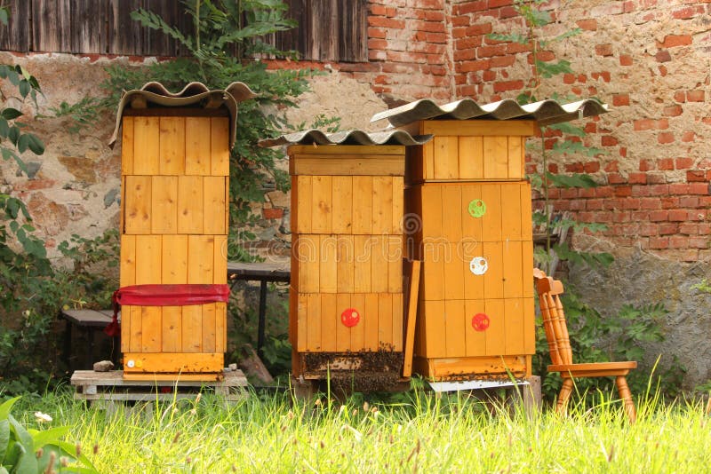 Yellow wooden beehive stock image. Image of nature, immunity - 58175987