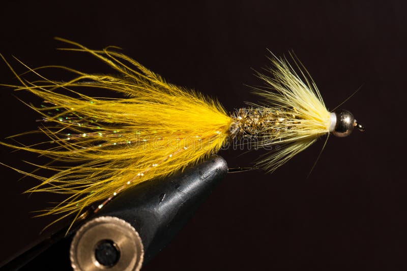 Yellow Wooly Worm Caterpillar on Concrete Brick and Wood Stock Photo ...