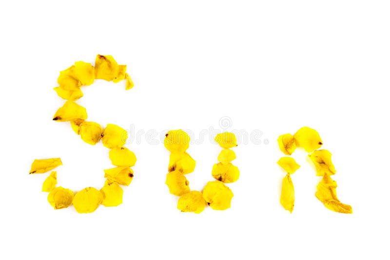 Yellow word sun stock photo. Image of ideas, garden, yellow - 68648604