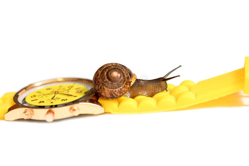 Yellow Wristwatch and Snail Isolate on White. Clock Hands. Concept of ...