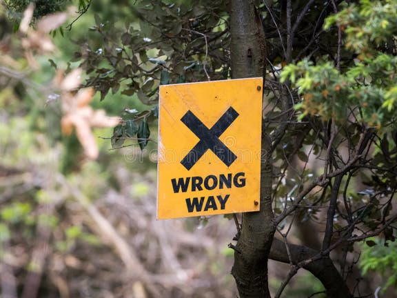 A Yellow Wrong Way Sign Hanging on a Tree Stock Image - Image of guide ...