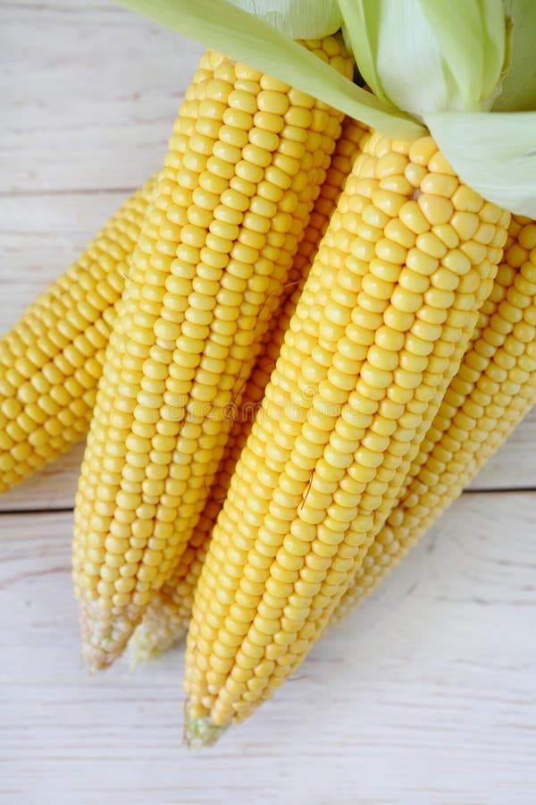 Yellow Young Corn on the Cob Stock Image - Image of corn, sweet: 33151657