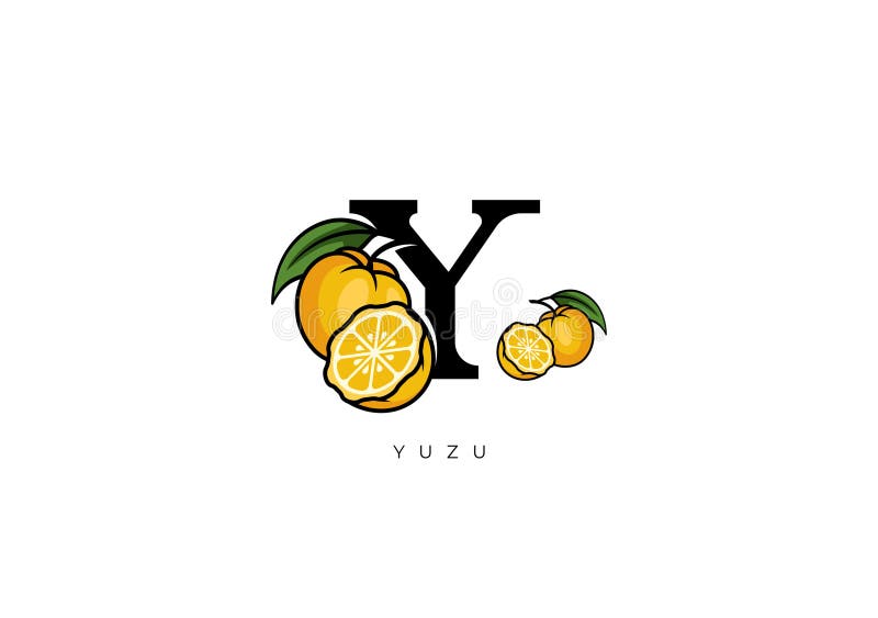 Yellow YUZU FRUIT Vector, Great Combination of Yuzu Fruit Symbol with ...
