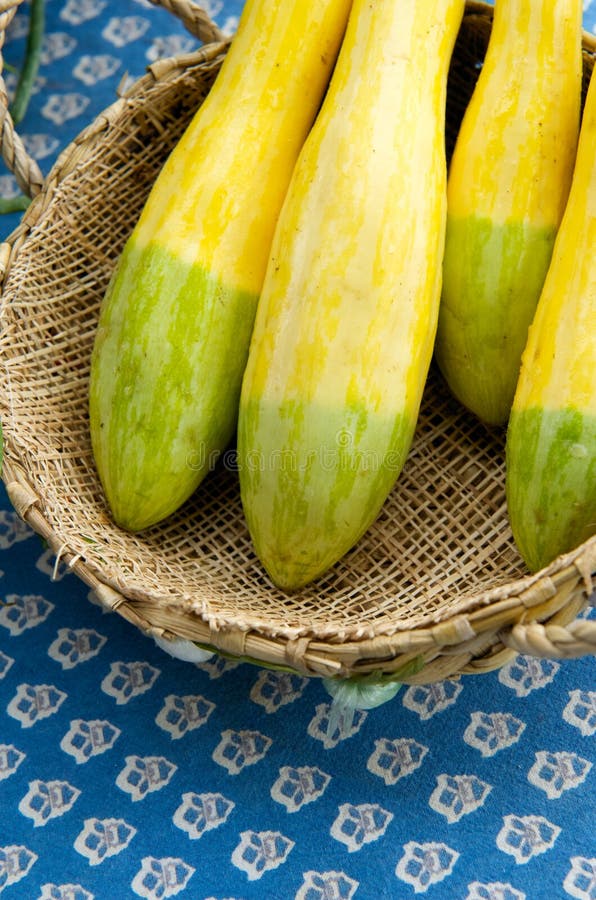 Yellow Zucchini stock image. Image of market, yellow, fresh - 5663609