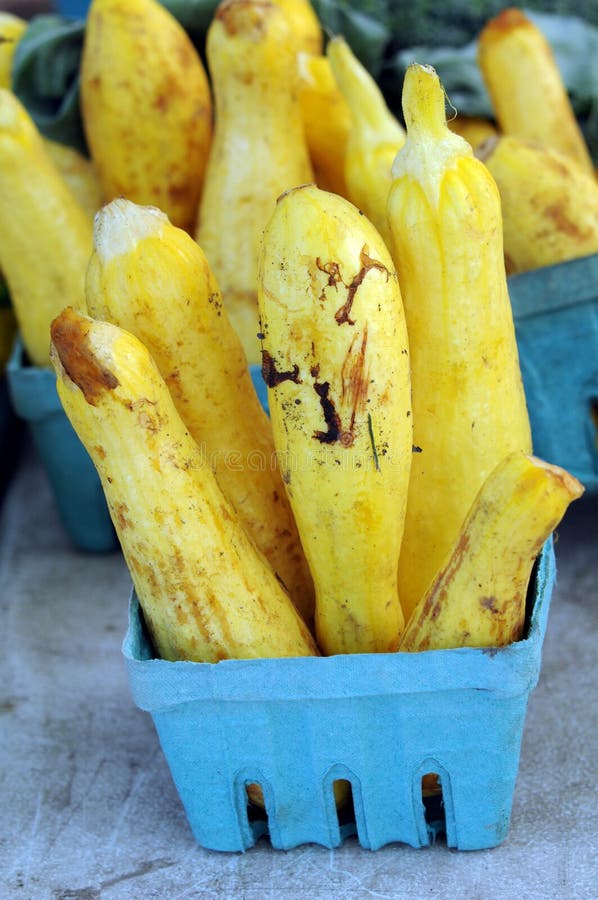 Yellow zucchini stock image. Image of group, cooking - 40809623