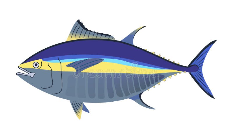 Yellowfin tuna fish. stock vector. Illustration of yellow - 311181151