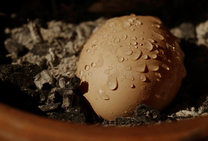 Egg fire stock image. Image of health, background, life - 60562919