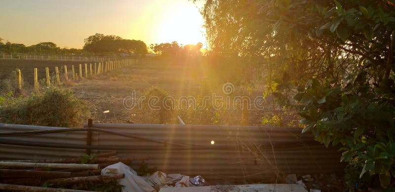 Yellowish Rays of Sun are Sparkling from Sun at the Time of Evening ...