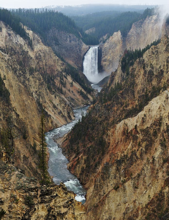 Yellowstone Fall at Yellowstone Stock Photo - Image of river, canyon ...
