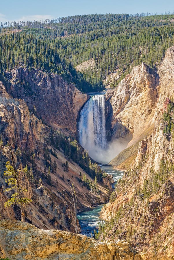 Yellowstone Falls stock photo. Image of scenic, mountains - 61576100