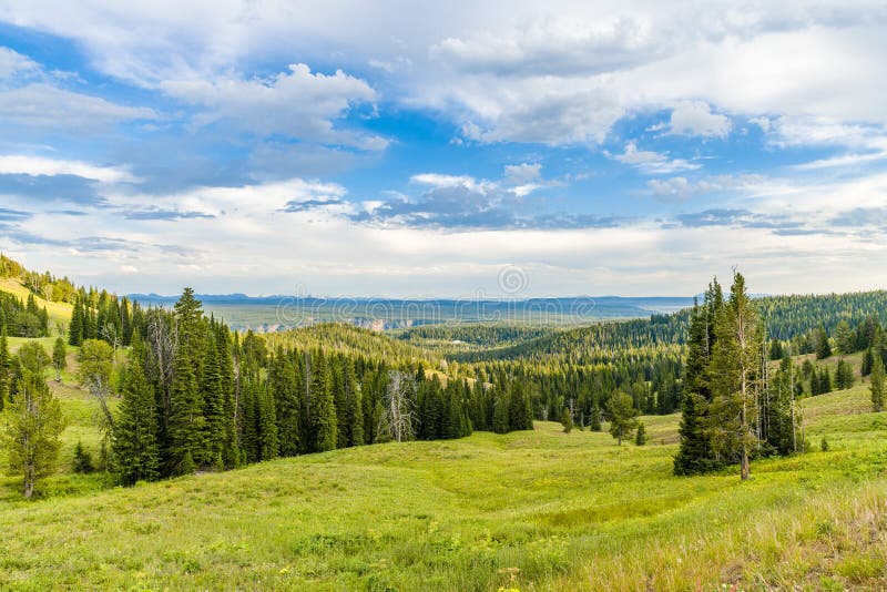 Yellowstone Forest View stock photo. Image of rock, meadow - 206163328