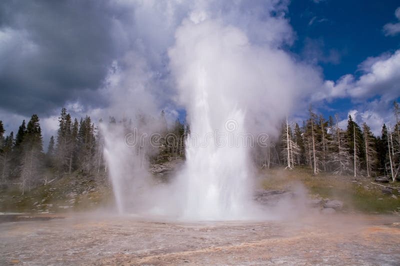 Yellowstone Geothermal Geyser Stock Photo - Image of outdoor, steam ...