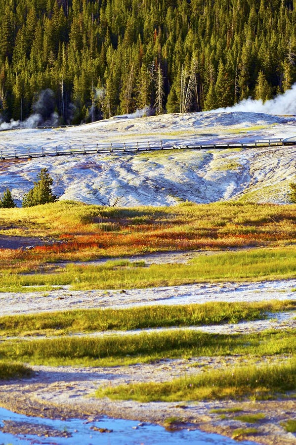 Yellowstone Harsh Conditions Stock Photo - Image of hydrothermal ...