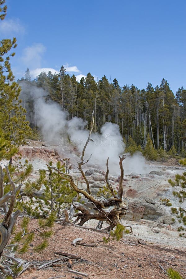 Yellowstone hot spring stock image. Image of heat, geology - 14506305