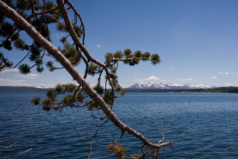The Lewis Lake in the Yellowstone Stock Image - Image of landmark ...