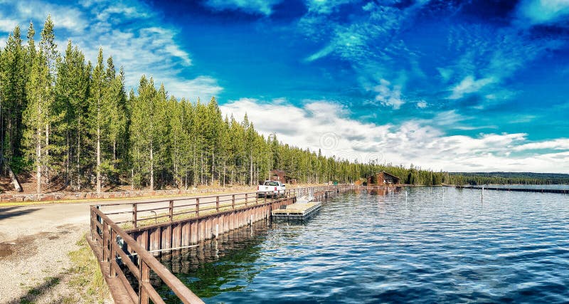 Yellowstone Lake and Forest on a Beautiful Sunny Morning - Panoramic ...