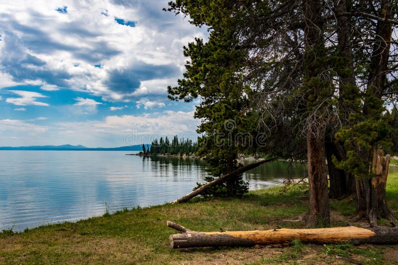 Yellowstone Lake from Storm Point Nature Trail Stock Image - Image of ...