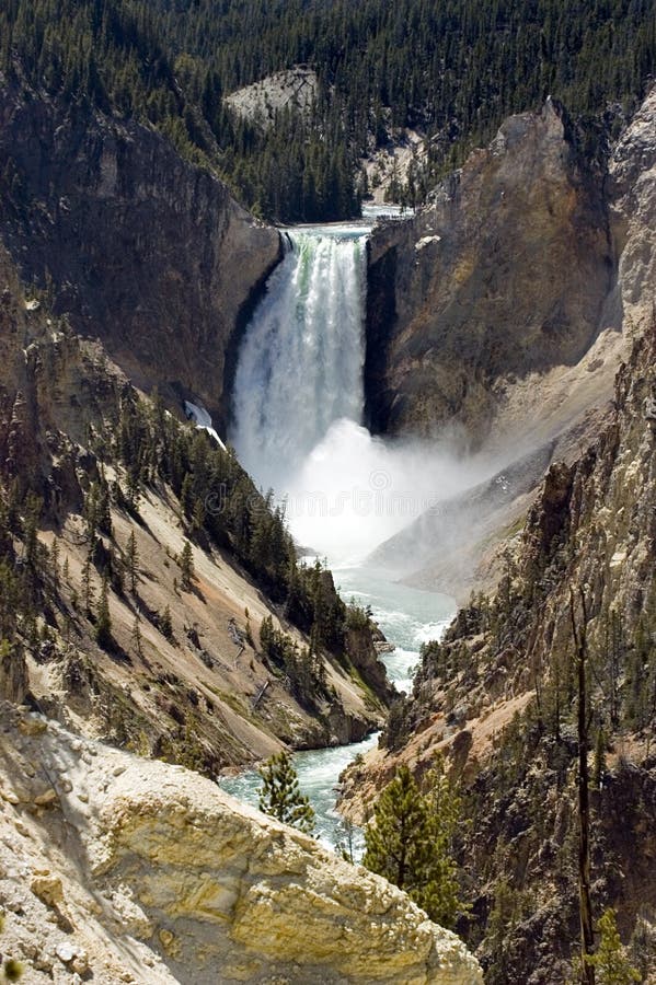 Yellowstone lower falls stock photo. Image of tracking - 202730