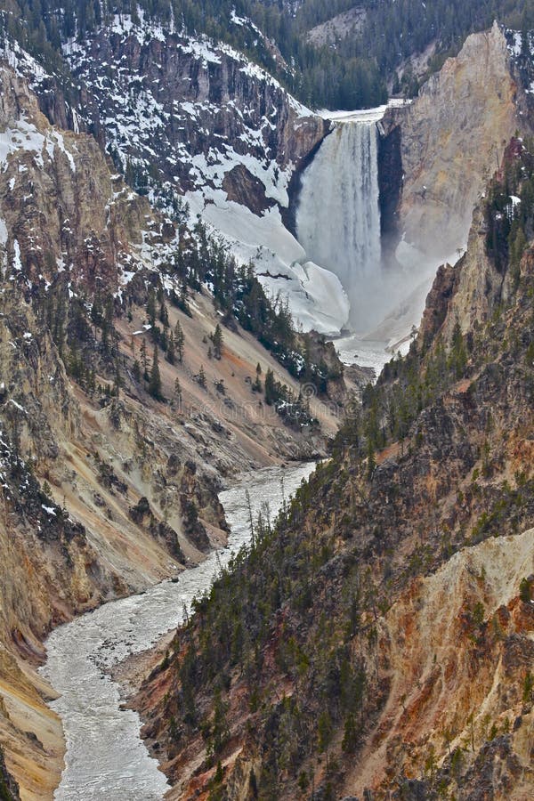 Yellowstone, Lower falls stock photo. Image of national - 37655762