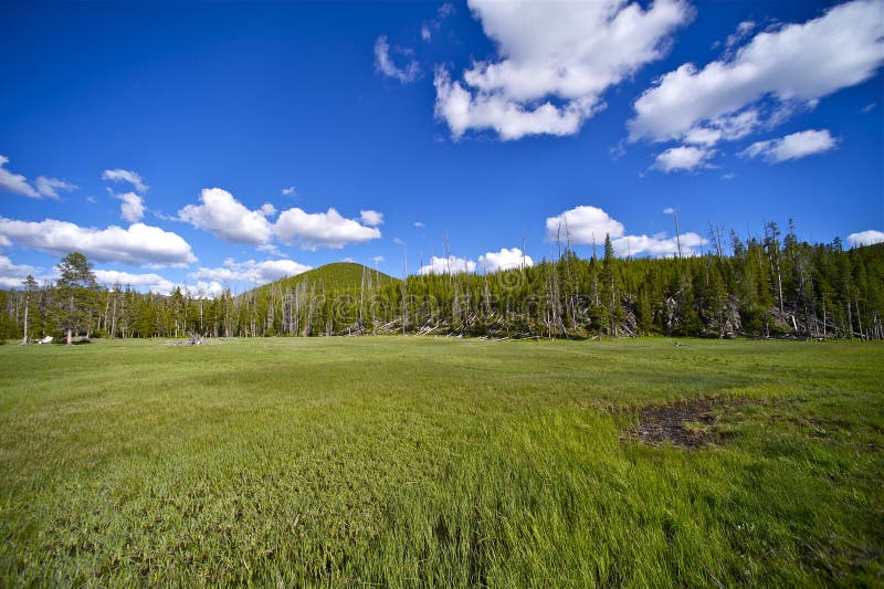 Yellowstone Summer Landscape Stock Photo - Image of steam, horizontal ...