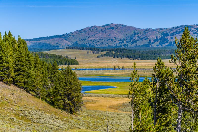 Yellowstone Meadow view stock photo. Image of teton - 206163244