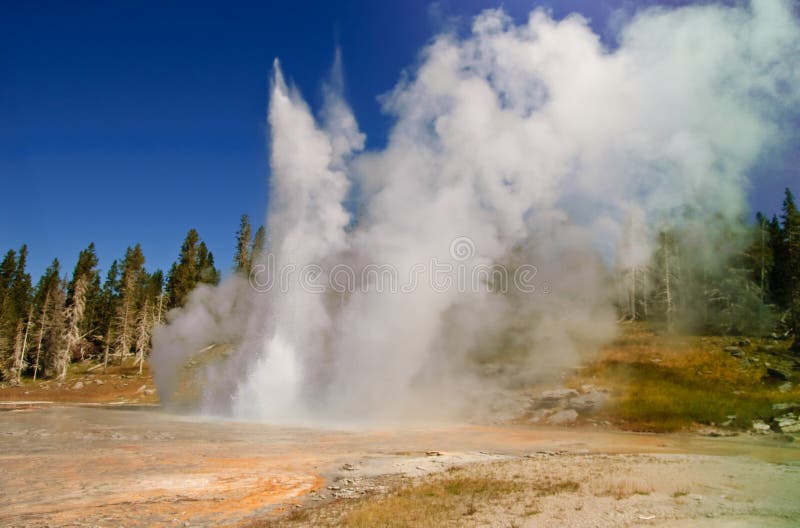 Yellowstone National Park stock image. Image of yellowstone - 11127837
