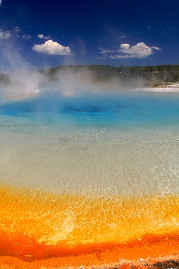 Hot spring in Yellowstone stock photo. Image of national - 155994