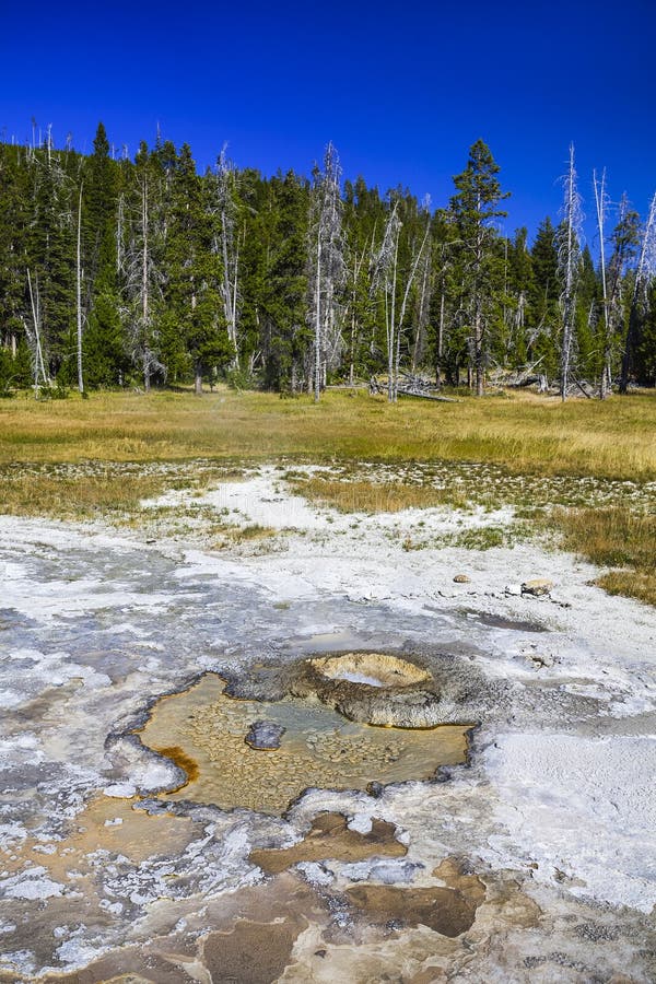 Yellowstone national park stock photo. Image of national - 29856862