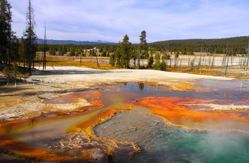 Yellowstone national park stock photo. Image of montana - 142602044
