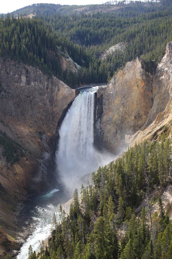 Yellowstone National Park - Lower Falls Stock Image - Image of ...