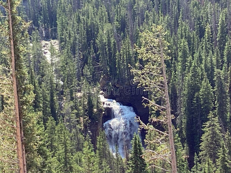 Yellowstone National Park River Scene Stock Photo - Image of scenic ...
