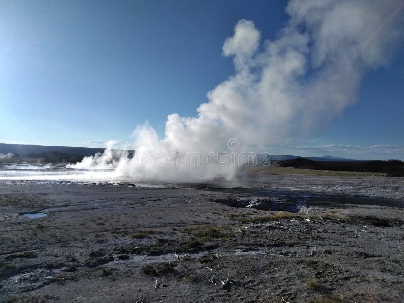 Spouting Geyser Letting Off Steam at Yellowstone National Park Stock ...