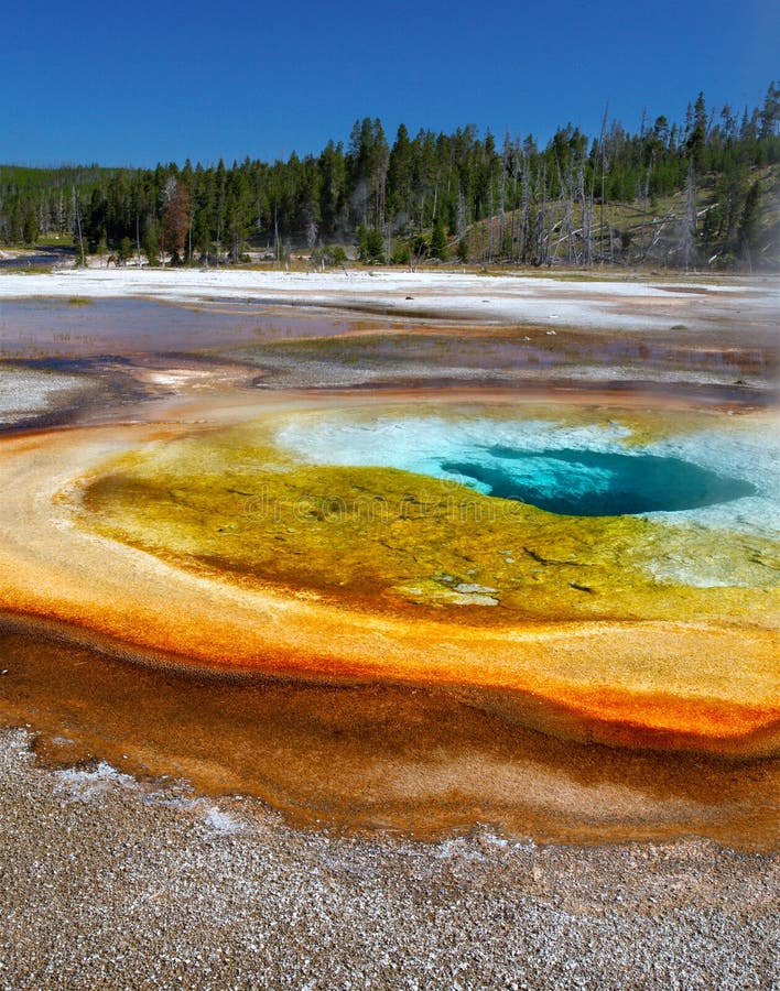Grand Prismatic Spring in Yellowstone National Park Stock Image - Image ...