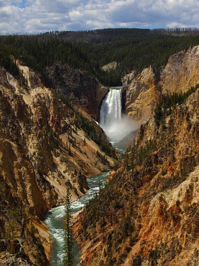 Yellowstone Park Lower Falls Stock Image - Image of : 91791963