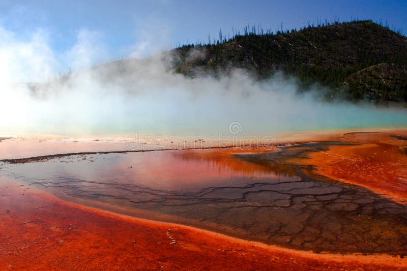 Yellowstone Reflections stock photo. Image of yellowstone - 14937152