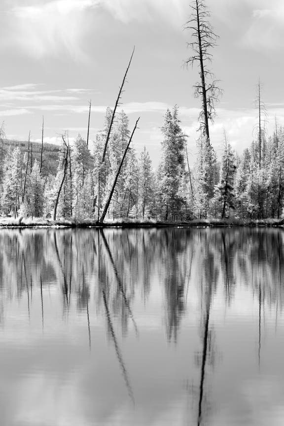 Yellowstone Reflections in IR Stock Photo - Image of nature, black: 2779376