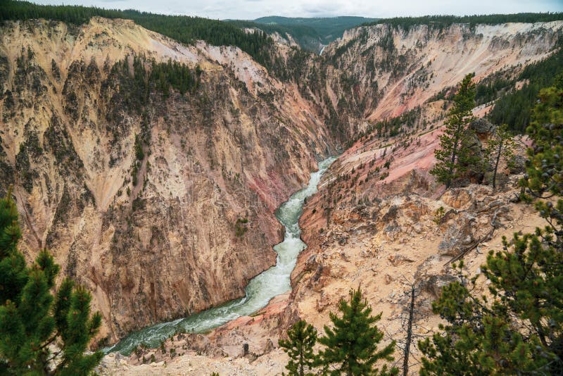 Yellowstone River at the Grand Canyon of the Yellowstone - Inspiration ...