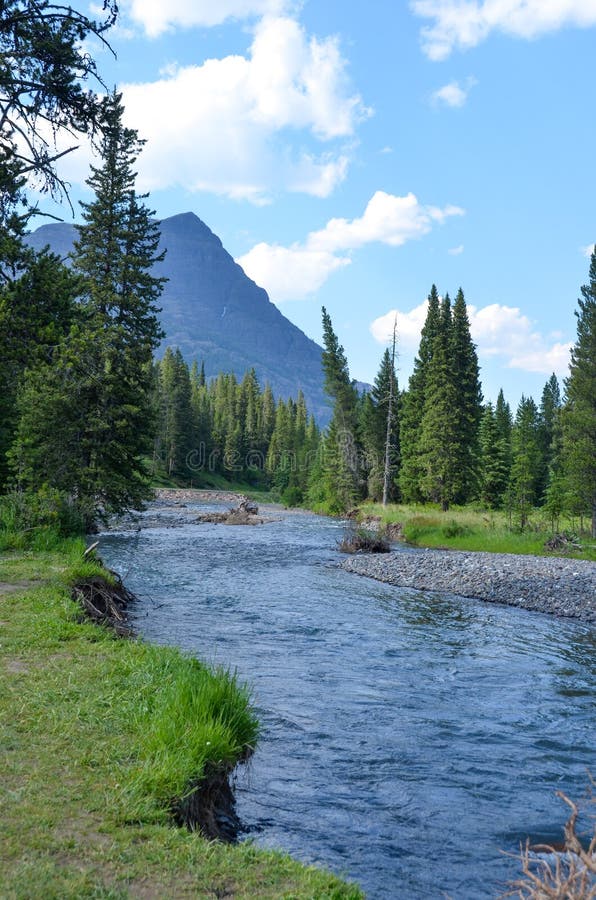 Yellowstone River in Yellowstone National Park Background Portrait with ...