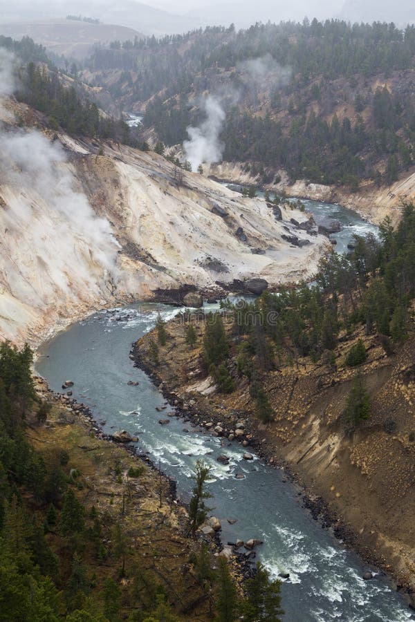 The Yellowstone River stock image. Image of overcast - 81740309