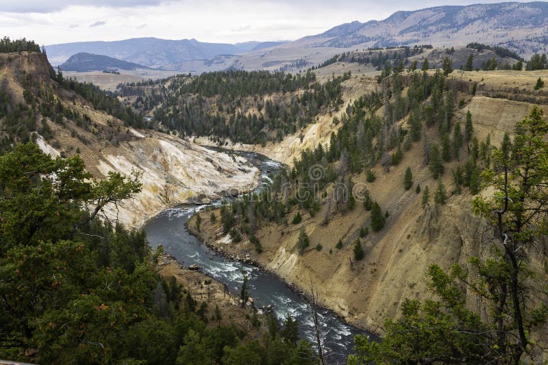 Yellowstone River in the Valley of Yellowstone National Park. Stock ...