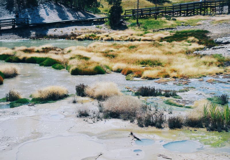 Yellowstone shoot stock photo. Image of nature, national - 94689196