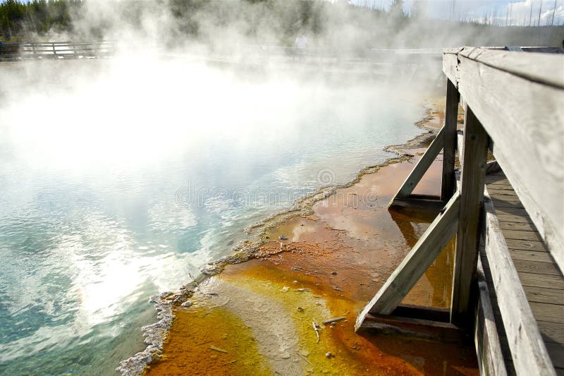 Steaming Pool of Geysers in Yellowstone Stock Image - Image of natural ...