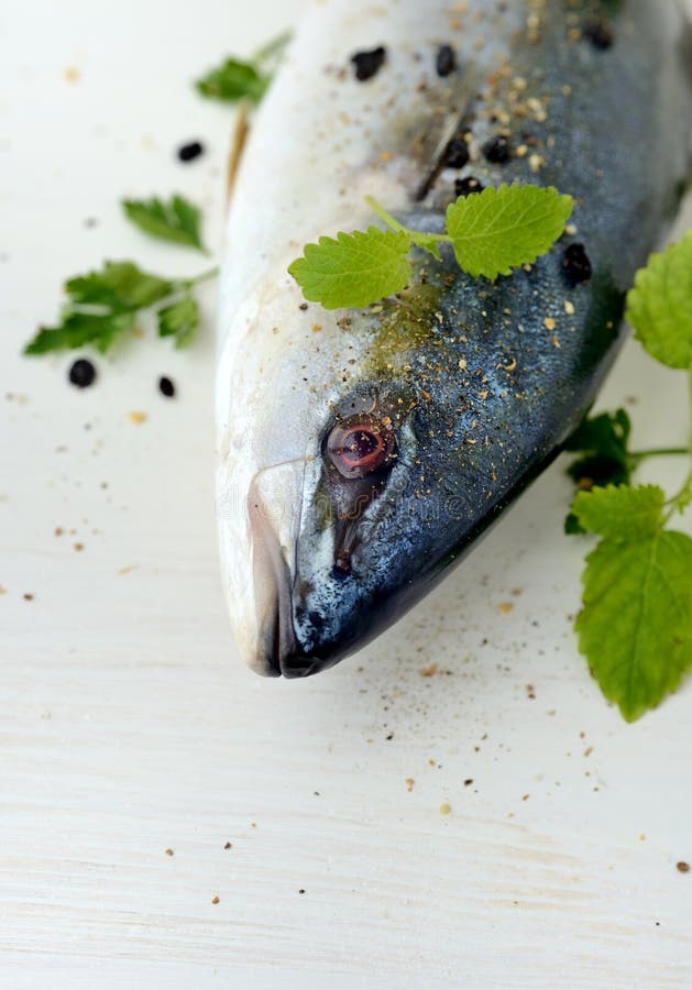 Yellowtail amberjack fish stock photo. Image of ingredient - 101021288