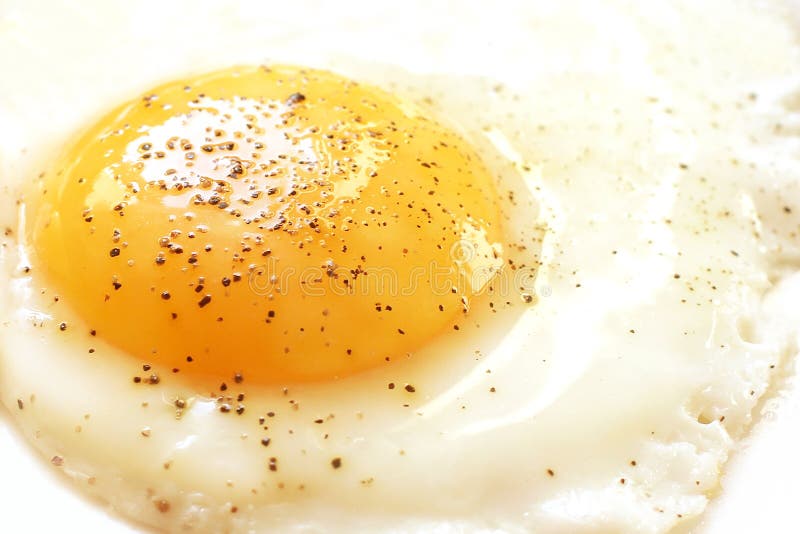 Yema De Huevo Con Pimienta Negra Foto de archivo - Imagen de animal ...