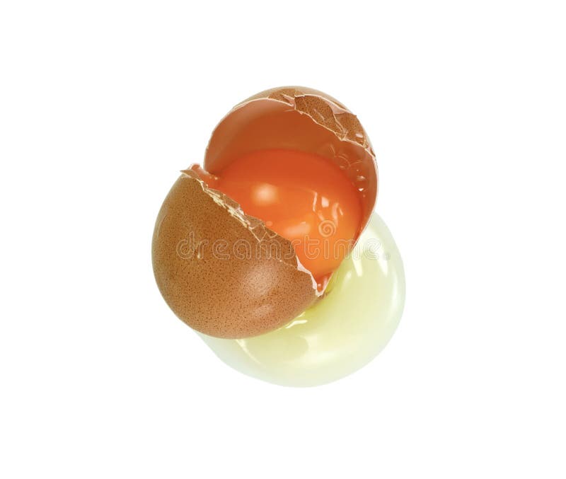 Yema De Huevo En El Fondo Blanco Ilustración del Vector - Ilustración ...