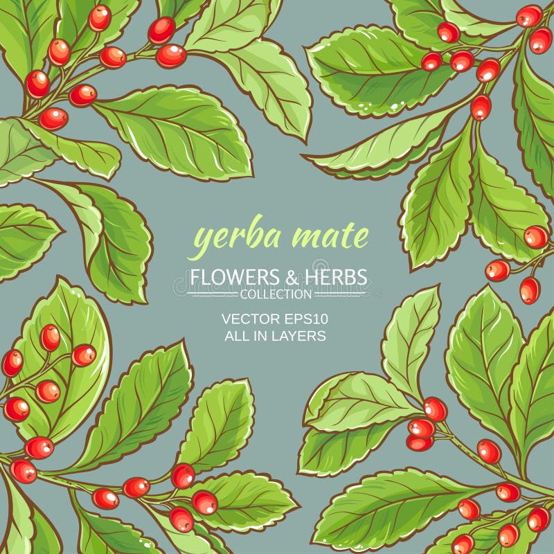 Yerba mate vector set stock vector. Illustration of mate - 76700909