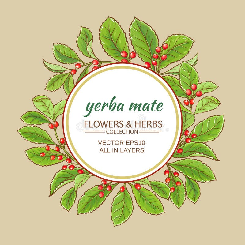 Yerba Mate Icon, Vector Illustration Stock Vector - Illustration of ...