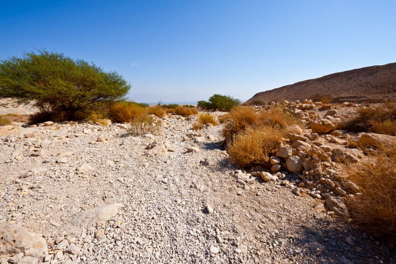 Yermo imagen de archivo. Imagen de roca, polvo, peligro - 27833675